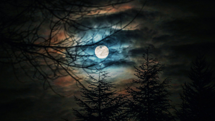 Full Moon Characters