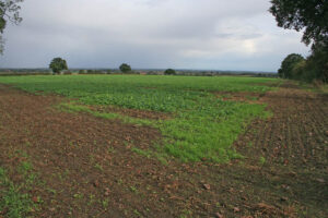Stoke Field, 1487: The ‘forgotten’ battle of the Wars of the Roses ...